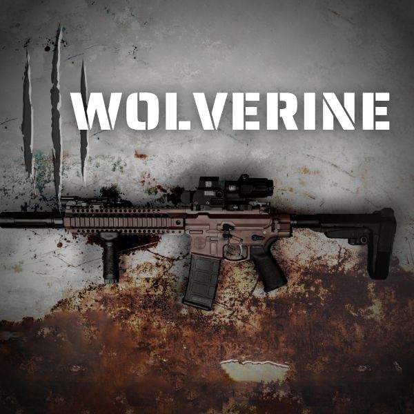 SHIELD ARMS SHOWS OFF THE SA-15 FOLDING 10.5" ELITE QUAD PISTOL IN ...