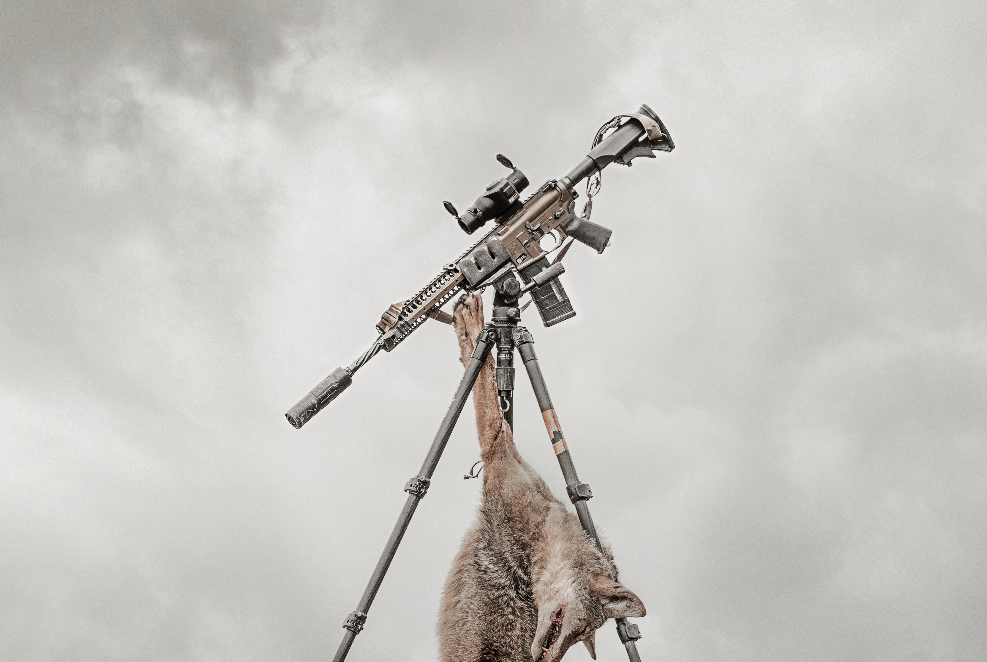 SIGHTMARK ANNOUNCES THE WRAITH MINI 2-16x32 THERMAL RIFLE SCOPE