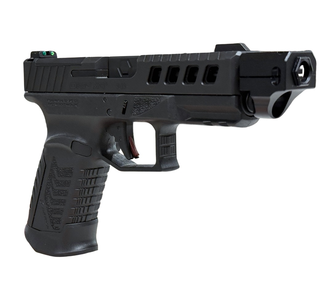 Unveiling the DY9 COMP: Advanced Features for Concealed Carry ...